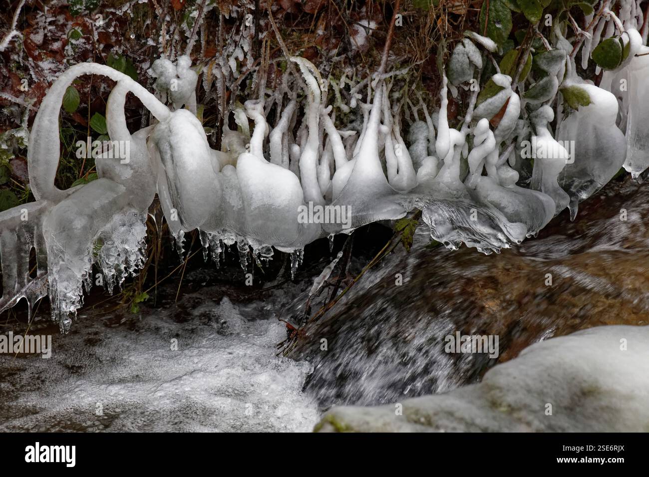 Hanging ice sculptures above a little creek that have formed during ...
