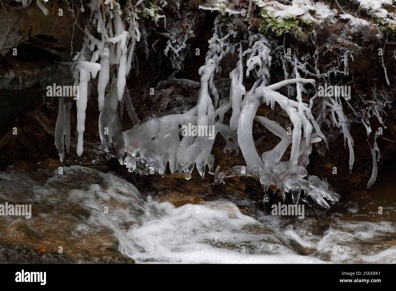 Hanging ice sculptures above a little creek that have formed during ...