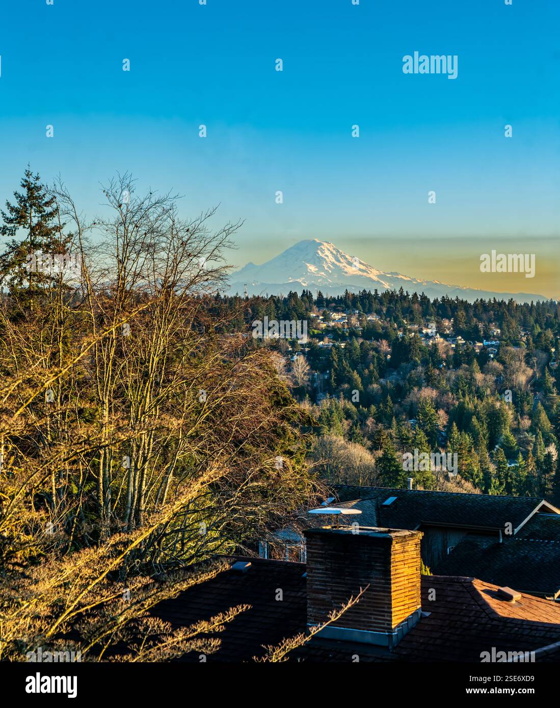 A view of Mount Rainier from Burien, Washington Stock Photo - Alamy