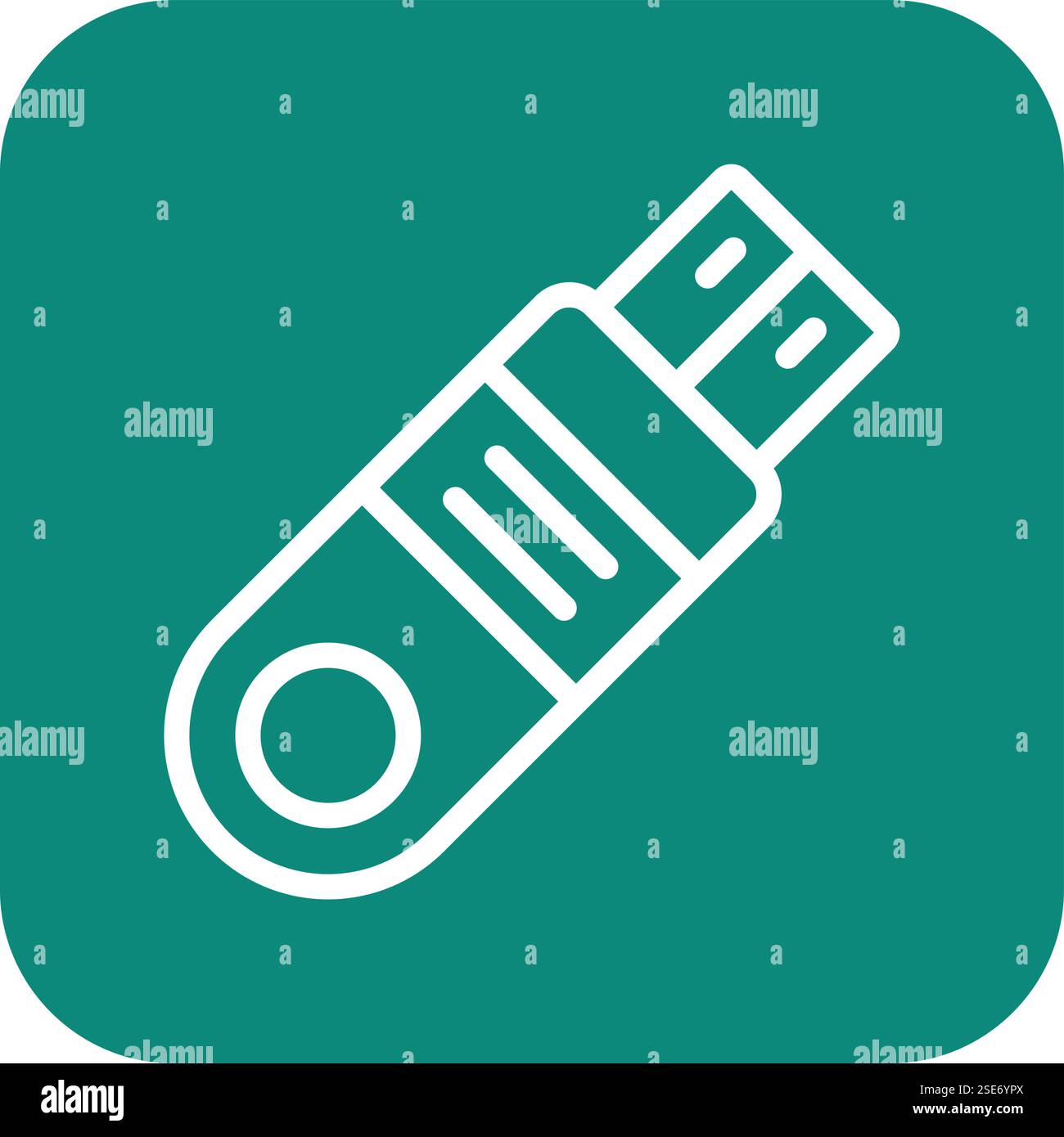 Flash Disk Vector Icon Design Illustration Stock Vector Image & Art - Alamy