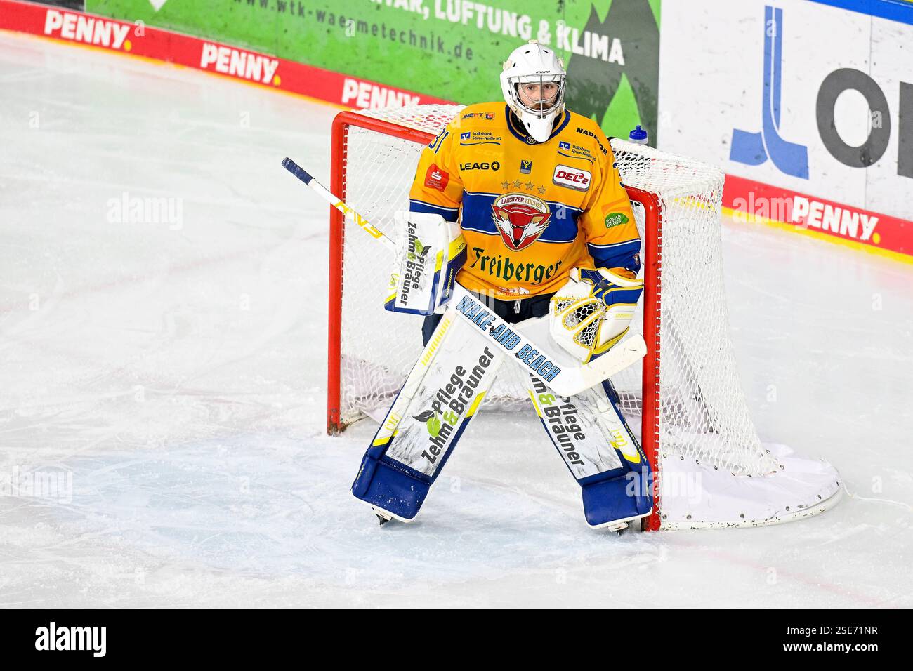 Eishockey DEL2 - 24/25 - 44 Spieltag: Krefeld Pinguine vs Lausitzer ...