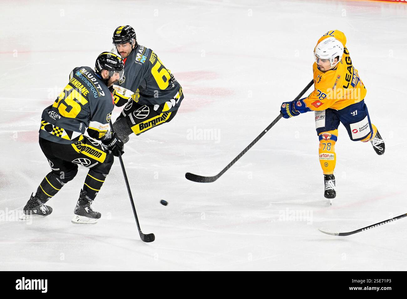 Eishockey DEL2 - 24/25 - 44 Spieltag: Krefeld Pinguine vs Lausitzer ...