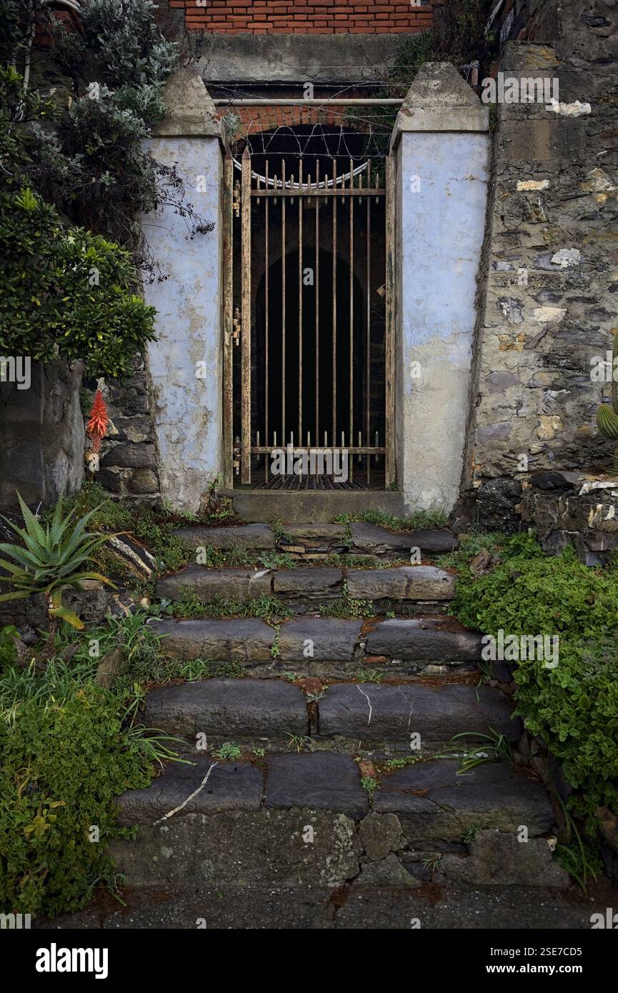 Entrance gate and a staircase in a stone wall with plants next to it on ...