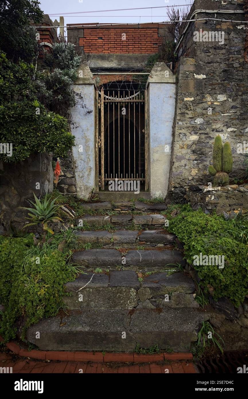 Entrance gate and a staircase in a stone wall with plants next to it on ...