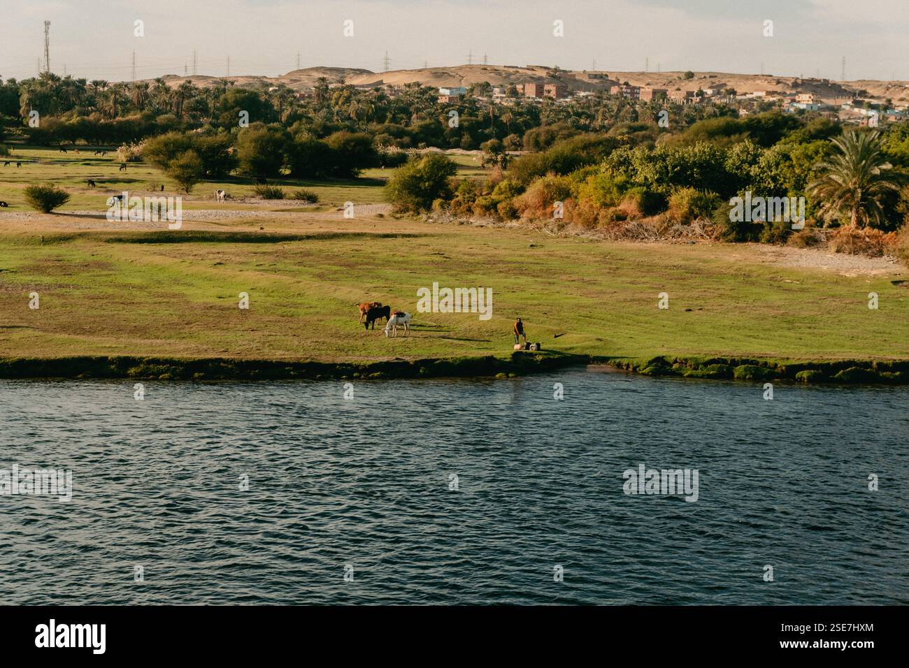 Nile landscape view from boat near Aswan Stock Photo - Alamy