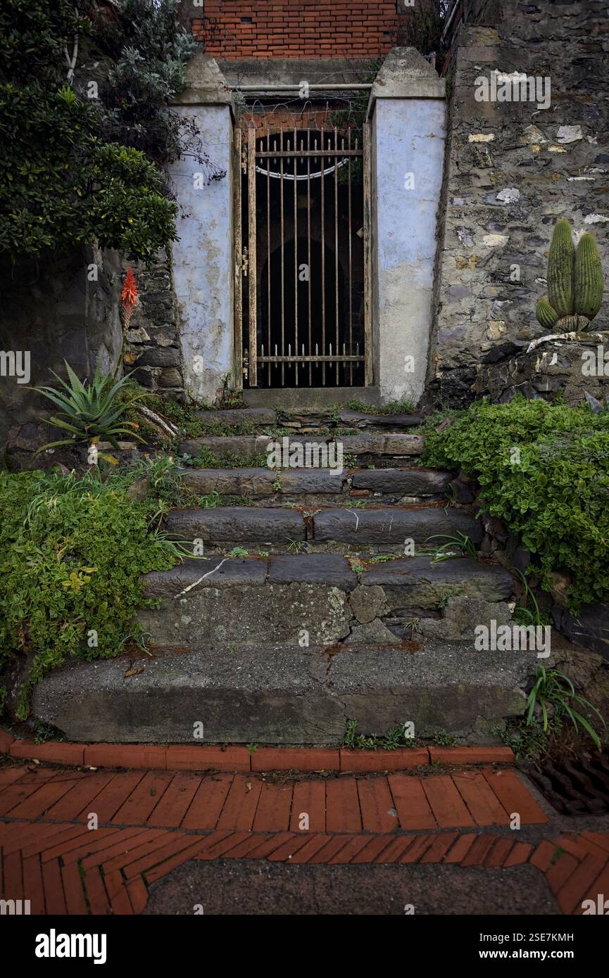 Entrance gate and a staircase in a stone wall with plants next to it on ...