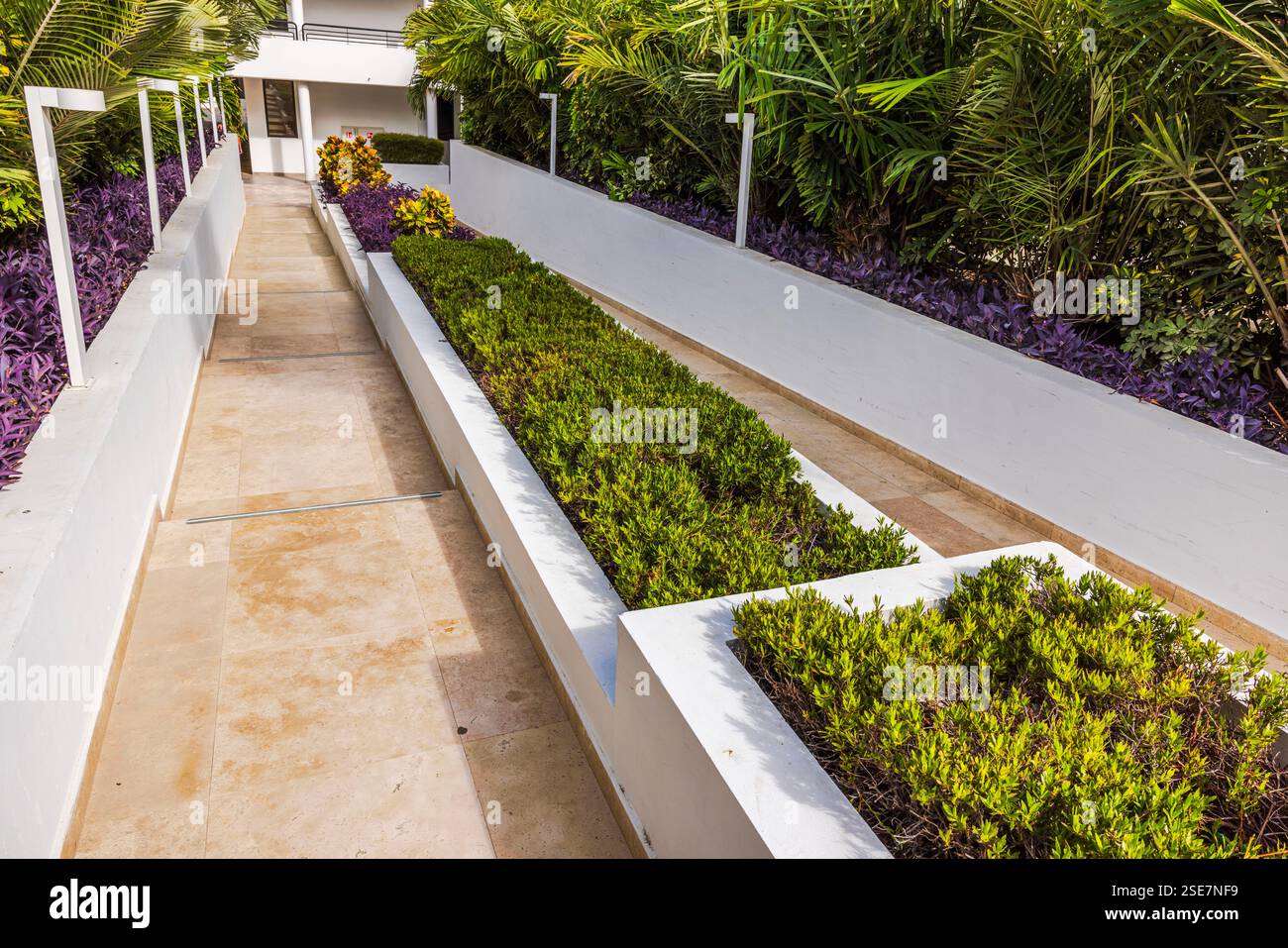 Landscaped hotel walkway with green shrubs, tropical plants, modern ...