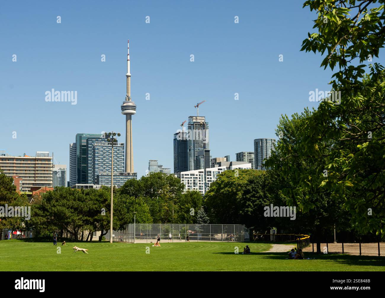 The skyline of Toronto showcases the iconic CN Tower surrounded by modern architecture under a ...