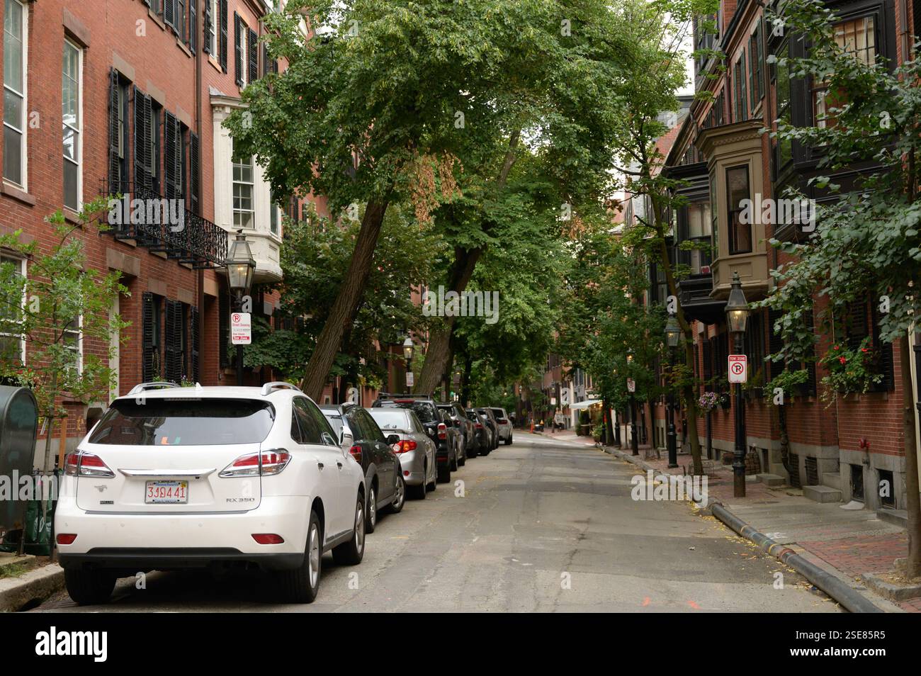 A peaceful residential street features classic brick buildings and tall ...