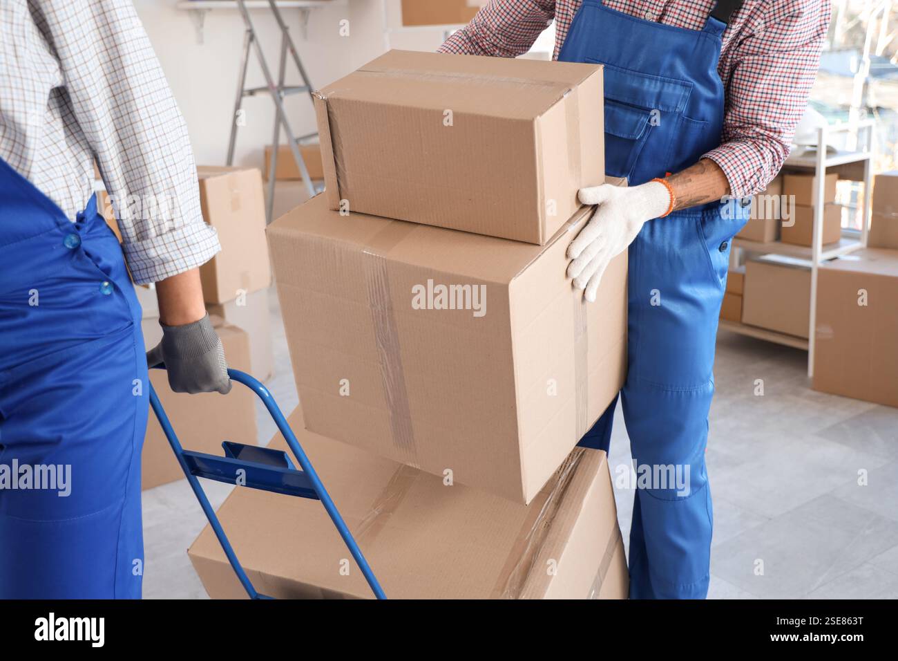 Male loaders carrying boxes on cart in warehouse Stock Photo - Alamy