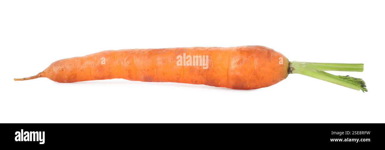 One fresh carrot isolated on white. Root vegetable Stock Photo - Alamy