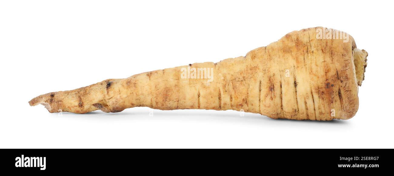 One fresh parsnip isolated on white. Root vegetable Stock Photo - Alamy