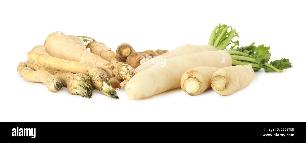 Many different root vegetables isolated on white Stock Photo - Alamy