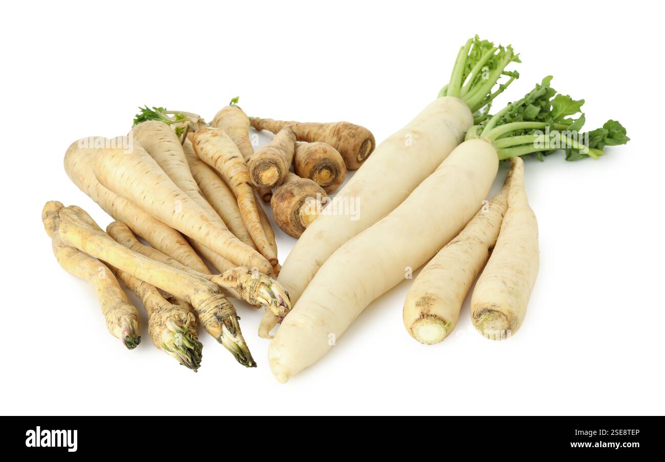 Many different root vegetables isolated on white Stock Photo - Alamy