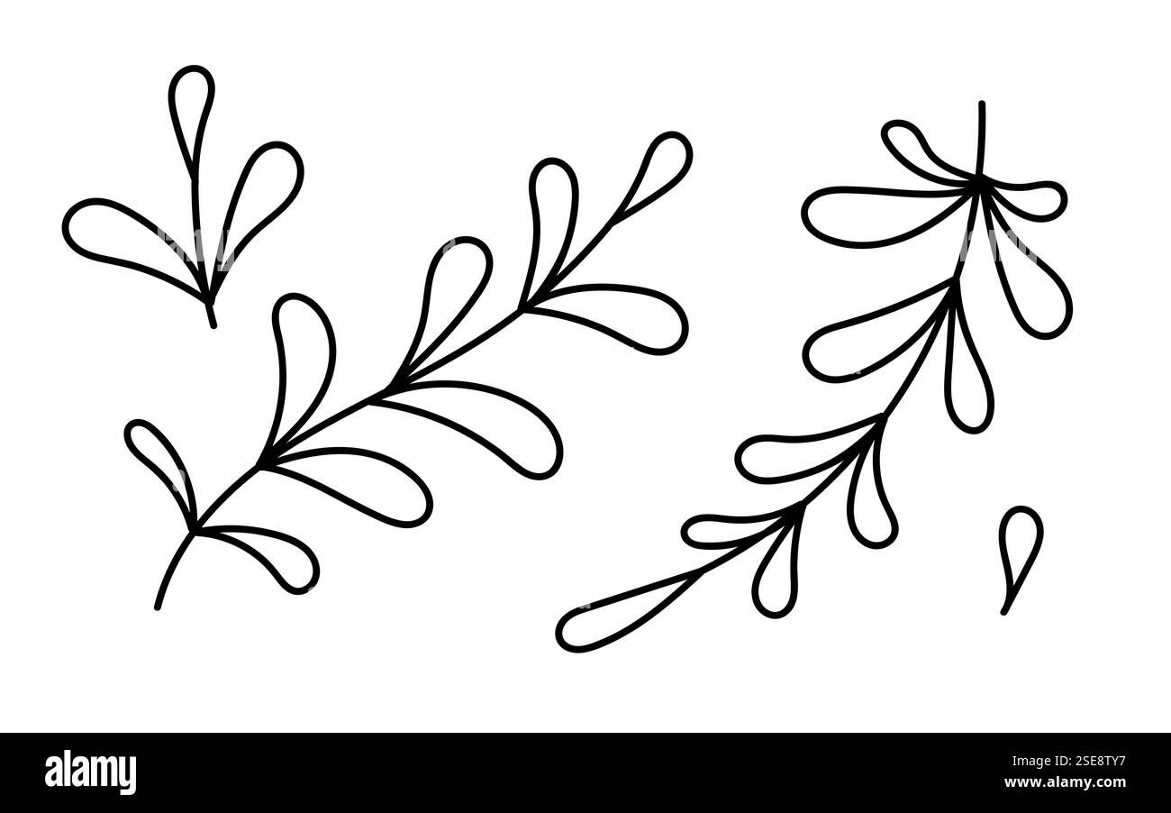 Botanical line art featuring various leafy designs in a simple style ...