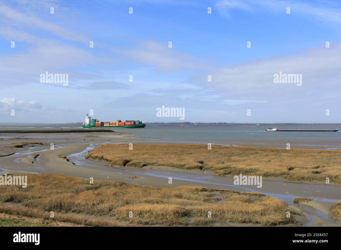 a container ship is sailing along a salt marsh with a channel towards ...