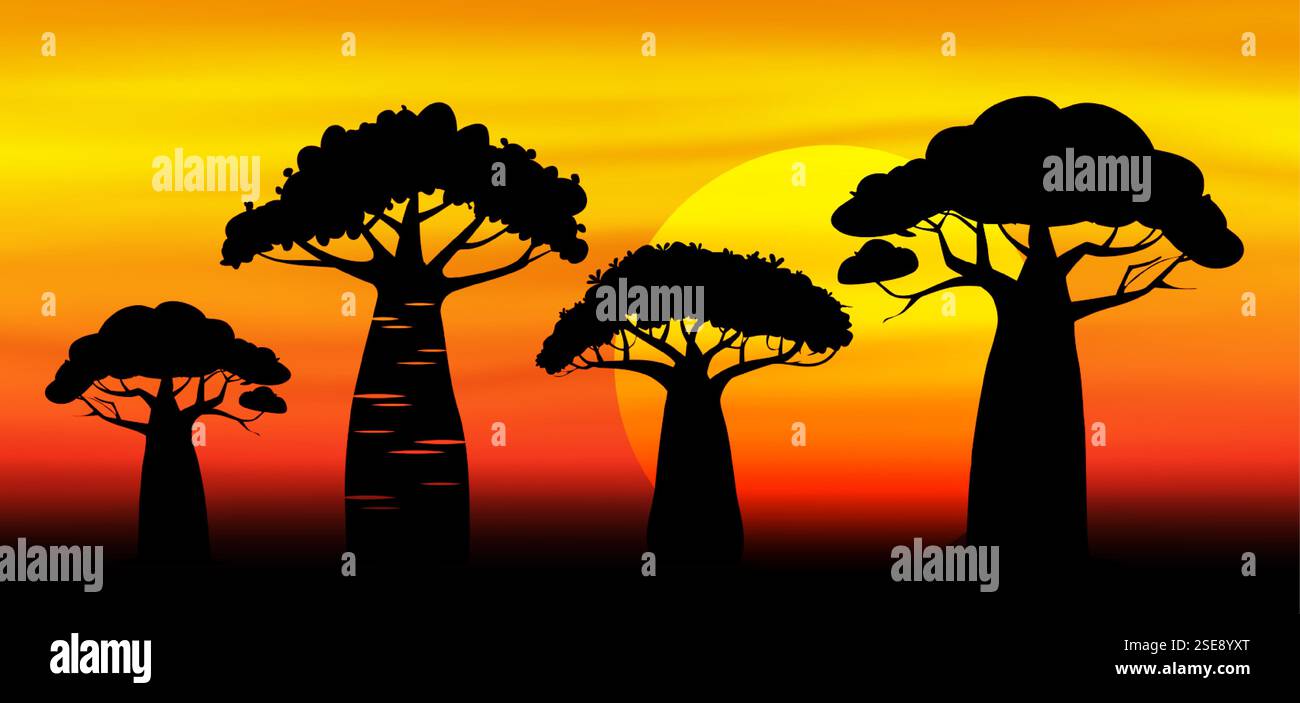 African Acacia Tree Silhouette