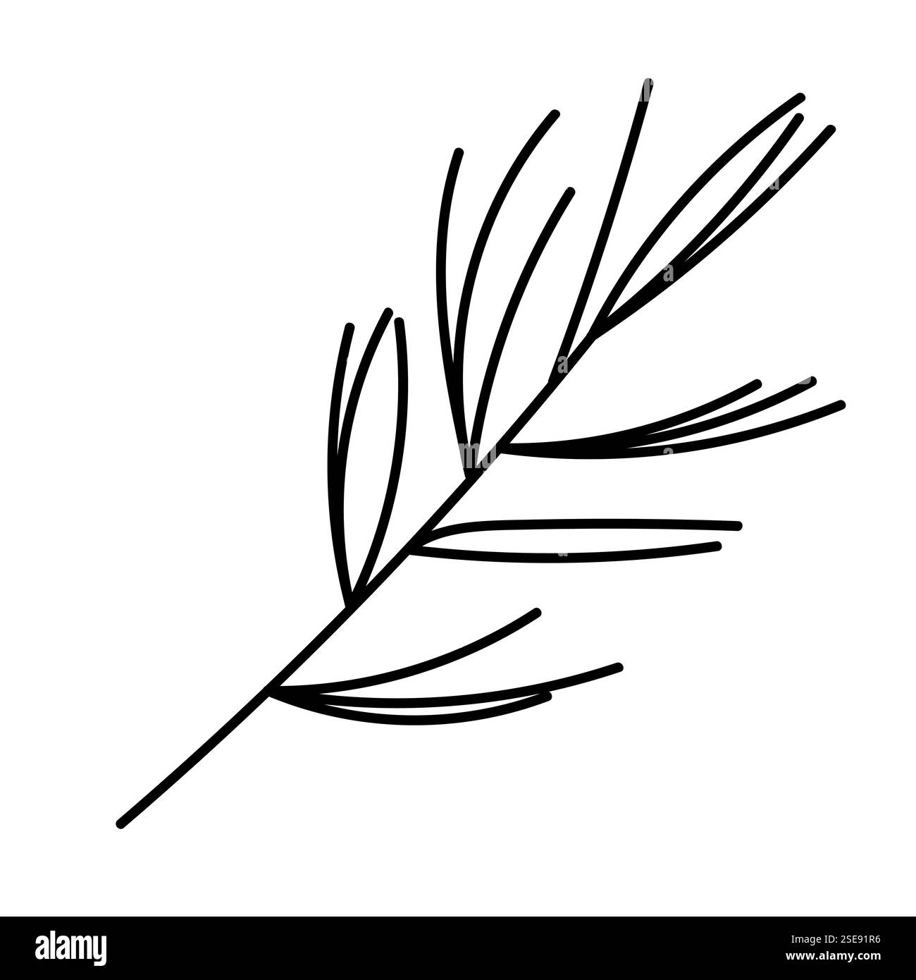 Simple outline of a delicate branch with slender leaves drawn in black ...