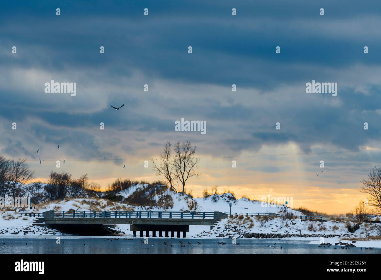 Looking west from the Big Sable River banks toward the M-116 bridge ...