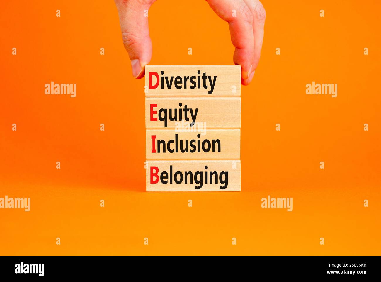 DEIB diversity equity inclusion belonging symbol. Concept words DEIB ...