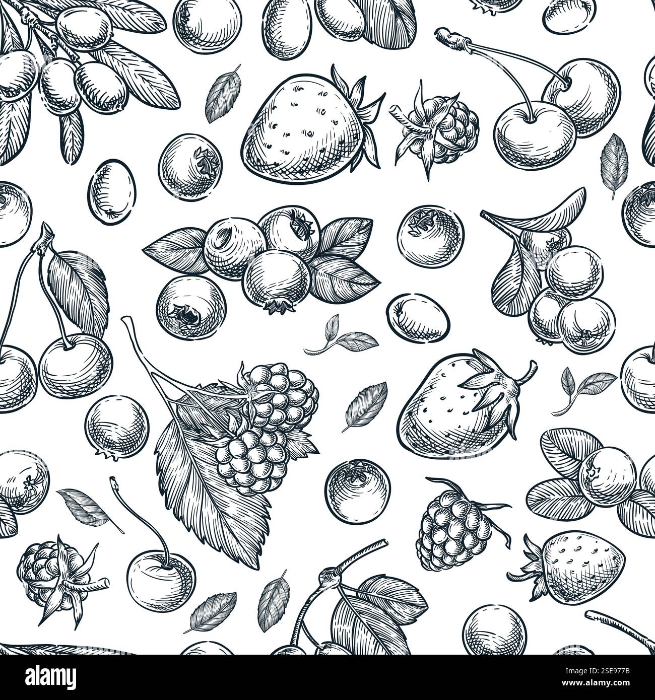 Hand drawn raspberry retro Stock Vector Images - Alamy