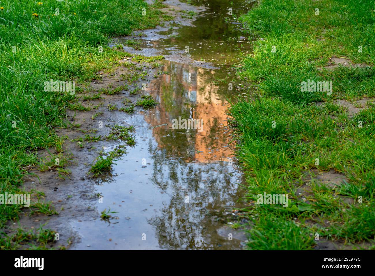 A puddle reflects a nearby building amidst vibrant green grass. The ...