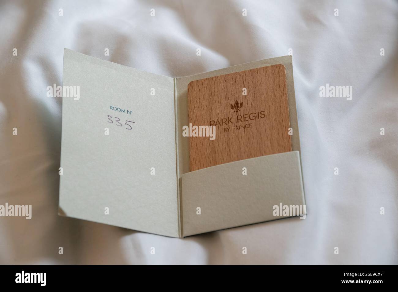 Park Regis wooden hotel key card in a minimalist sleeve with ...