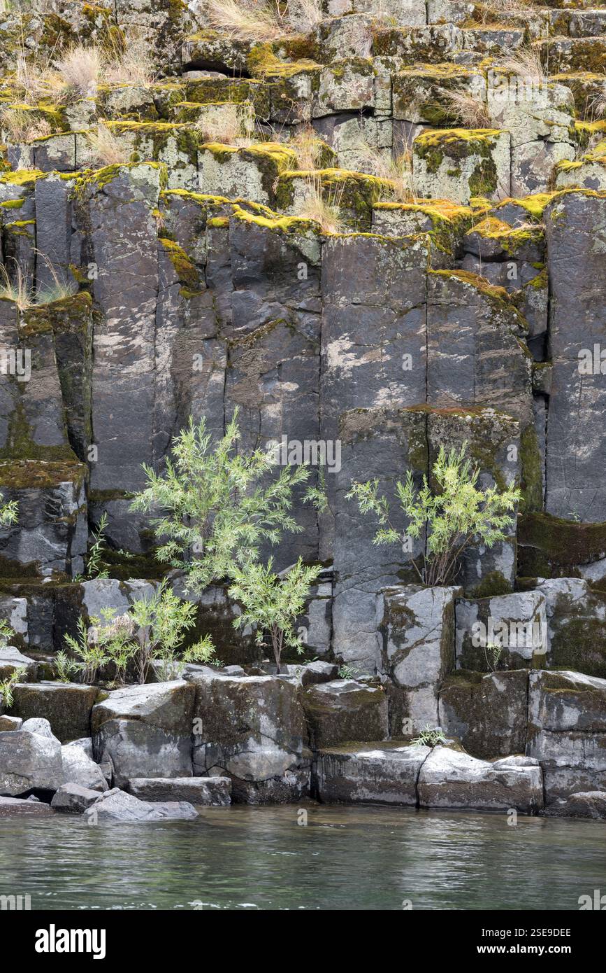 Columnar basalt formation along the Salmon River, Idaho Stock Photo - Alamy