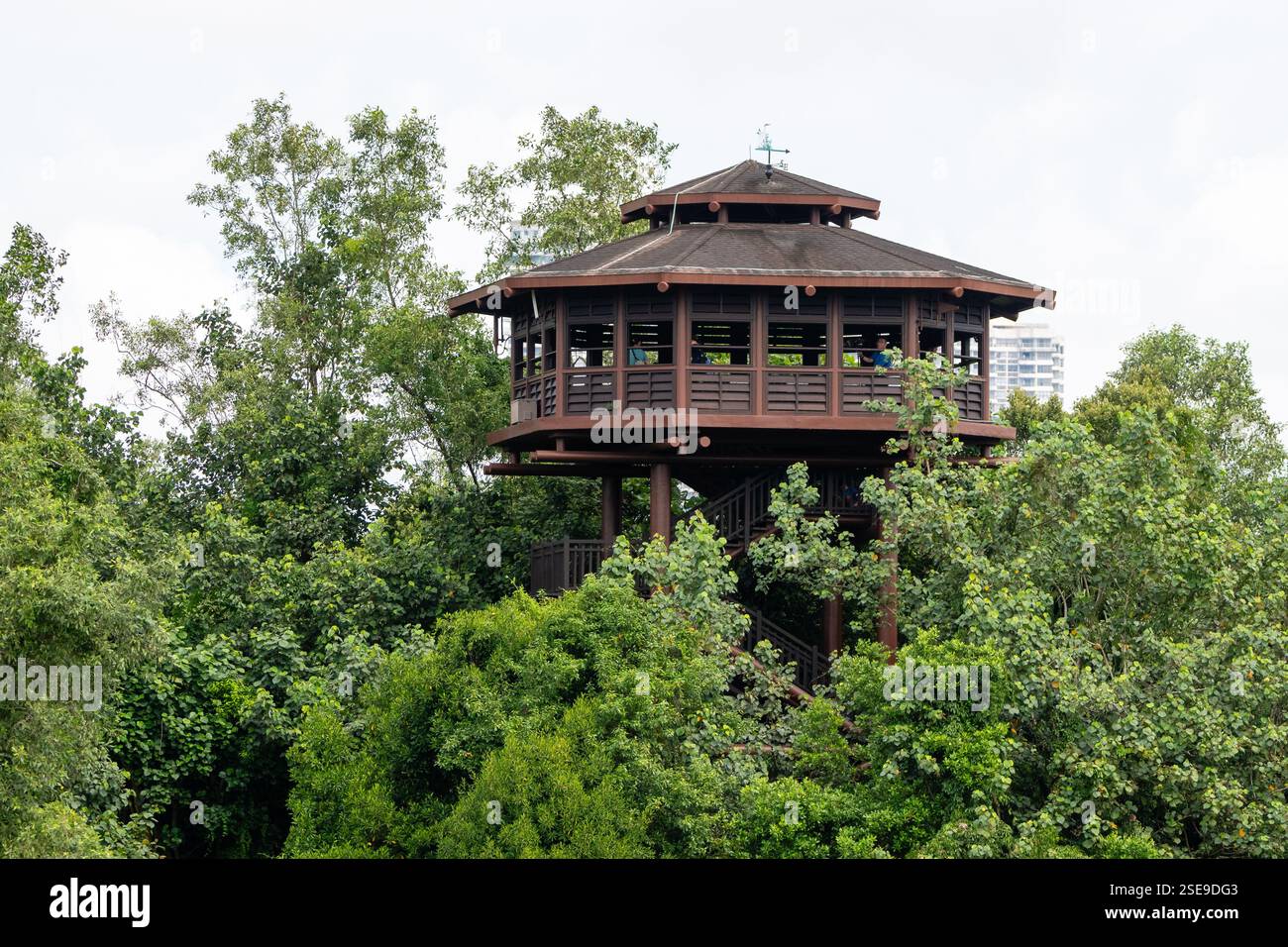 birding hide in Sungei Buloh Wetland Reserve, Singapore Stock Photo - Alamy