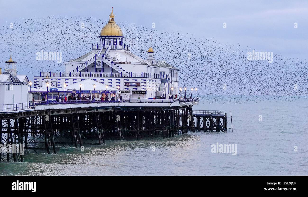 Eastbourne Promenade, Eastbourne. 08th February 2025. A cloudy and very ...