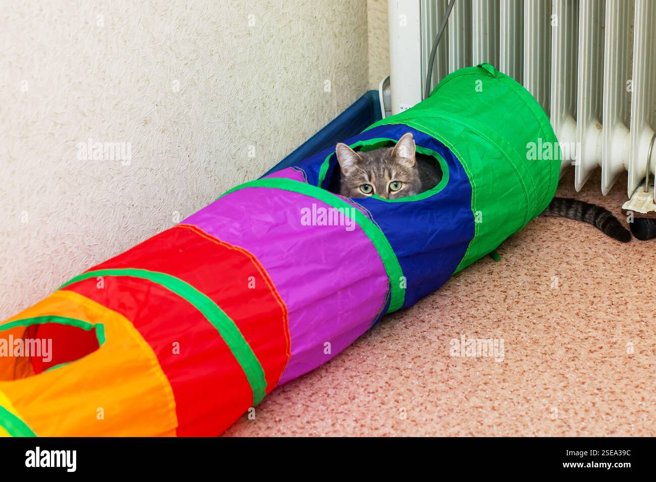Cuddle nook hi-res stock photography and images - Alamy