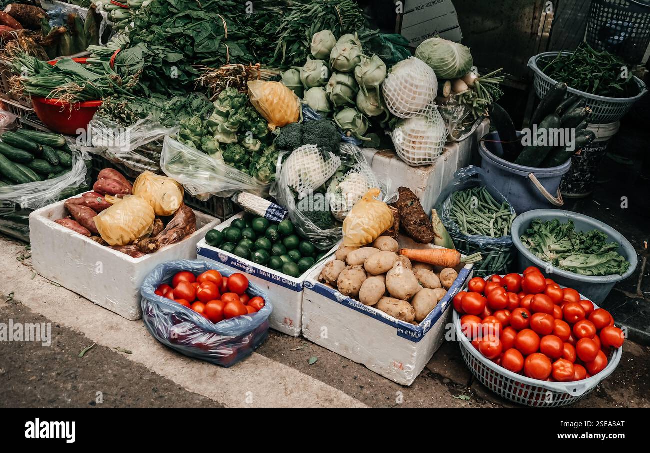 Discover a wide array of Fresh Vegetables and Fruits at your Local ...