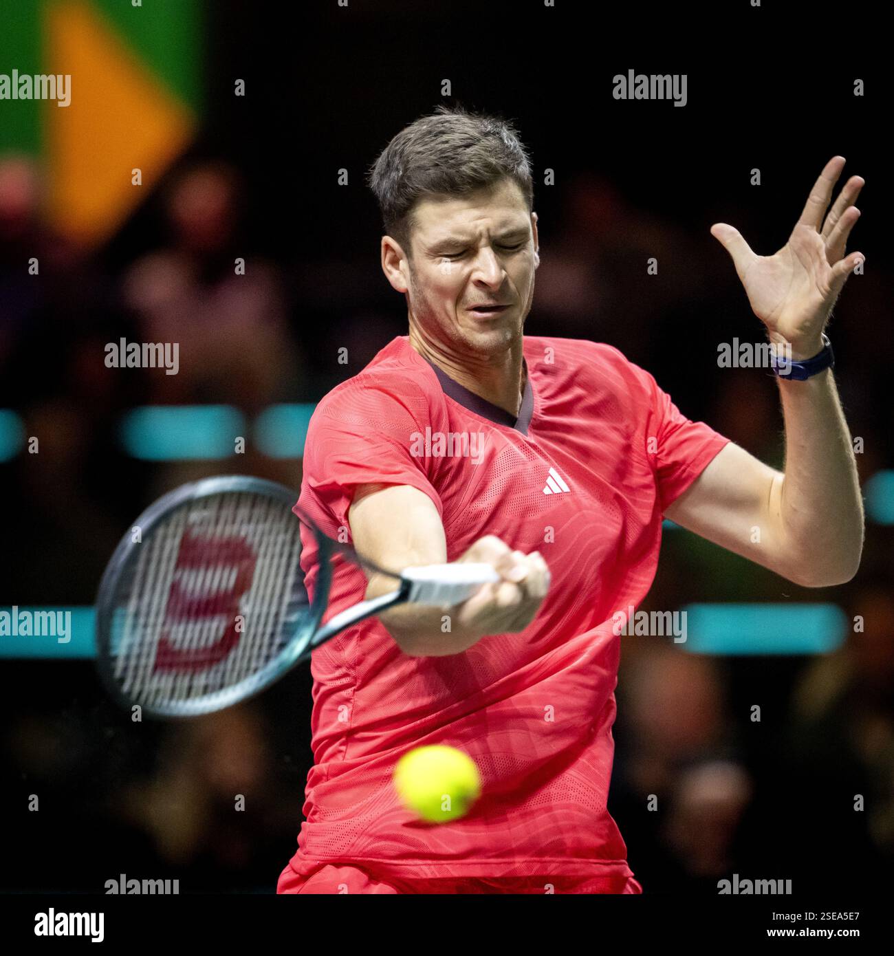 ROTTERDAM - Hubert Hurkacz (POL) in action against Carlos Alcaraz (ESP ...