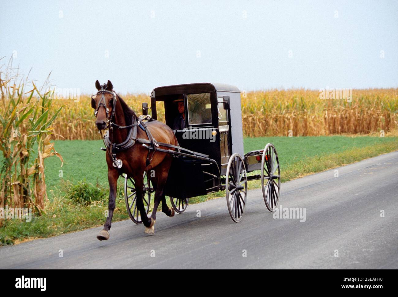 The Amish; or Plain People; in Pennsylvania's Lancaster County; still ...