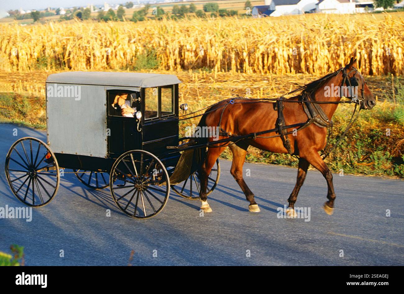 The Amish; or Plain People; in Pennsylvania's Lancaster County; still ...