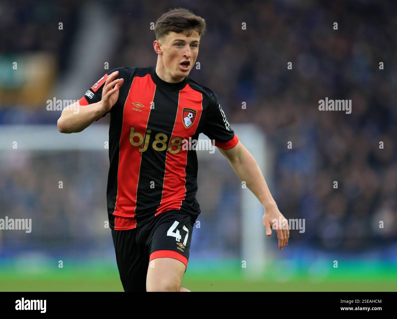 Goodison Park, Liverpool, UK. 8th Feb, 2025. FA Cup Fourth Round ...