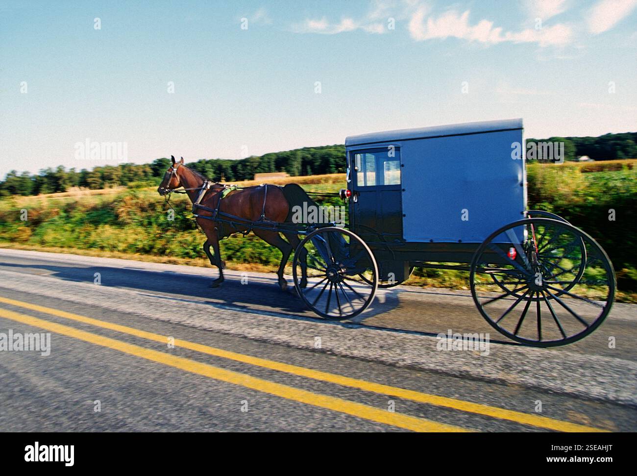 Amish horse drawn buggy wagon hi-res stock photography and images - Alamy
