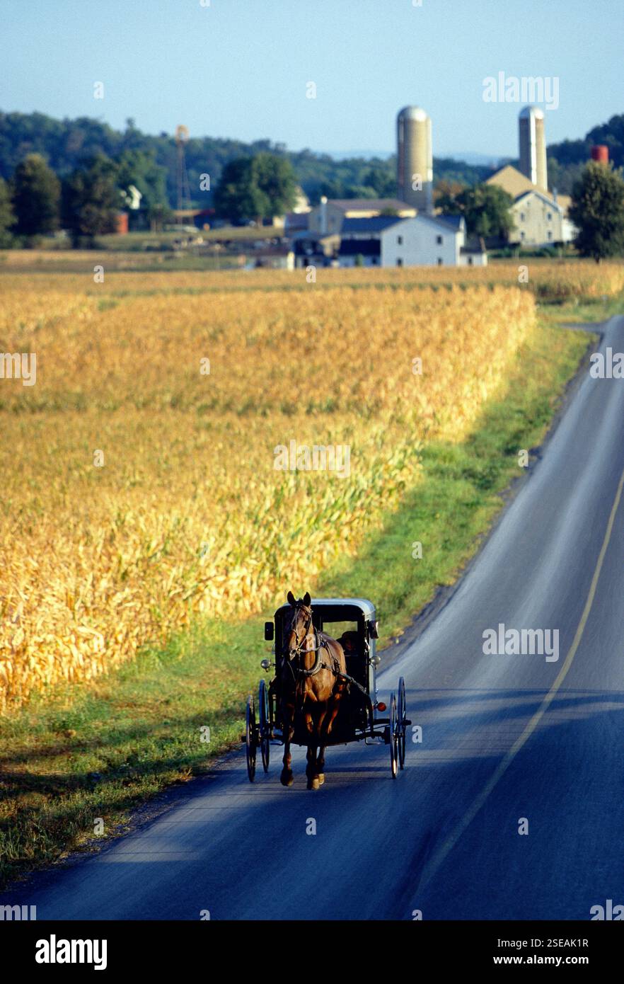 The Amish; or Plain People; in Pennsylvania's Lancaster County; still ...