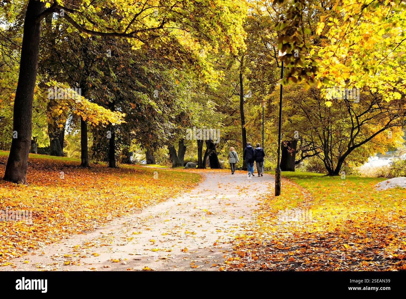 People strolling on Walkway in autumn forest with colorfull fall ...