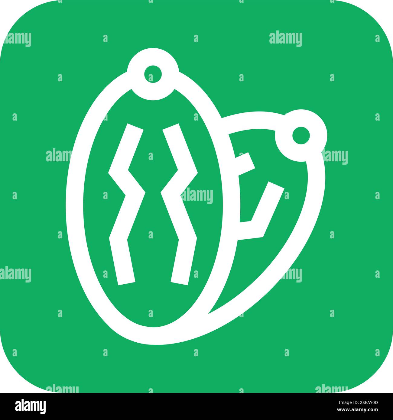 Date fruit vector vectors Stock Vector Images - Alamy