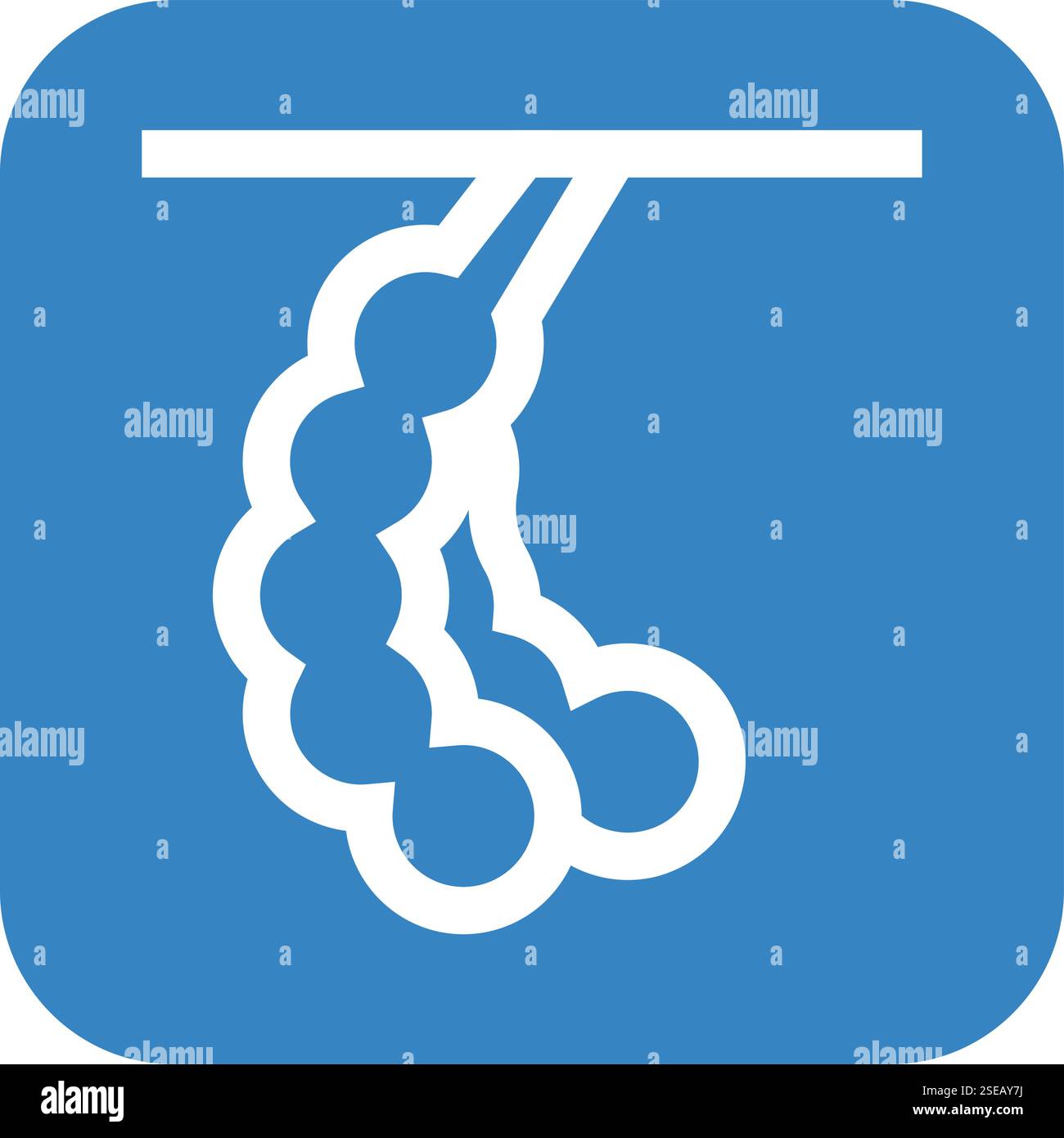 Tamarind vector hi-res stock photography and images - Alamy