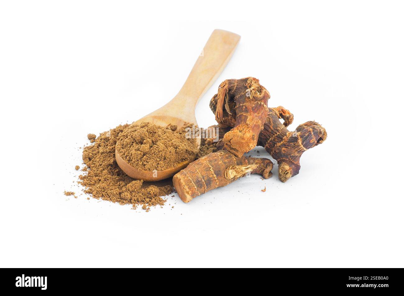 Galangal root and galanga powder isolated on white background. Healthy ...