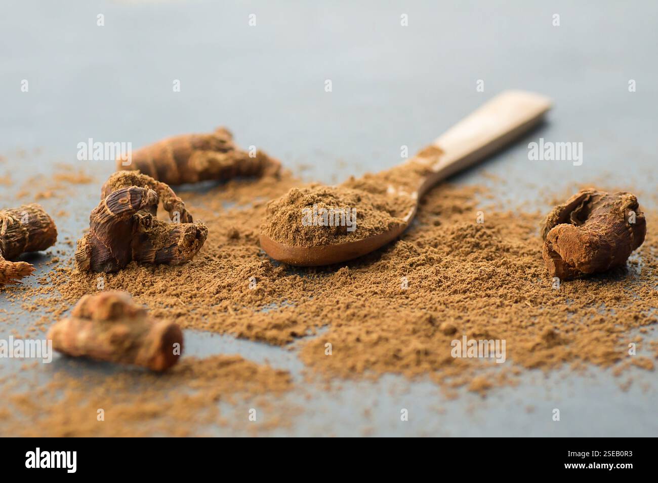 Galangal root and galanga powder in wooden spoon on rustic table ...