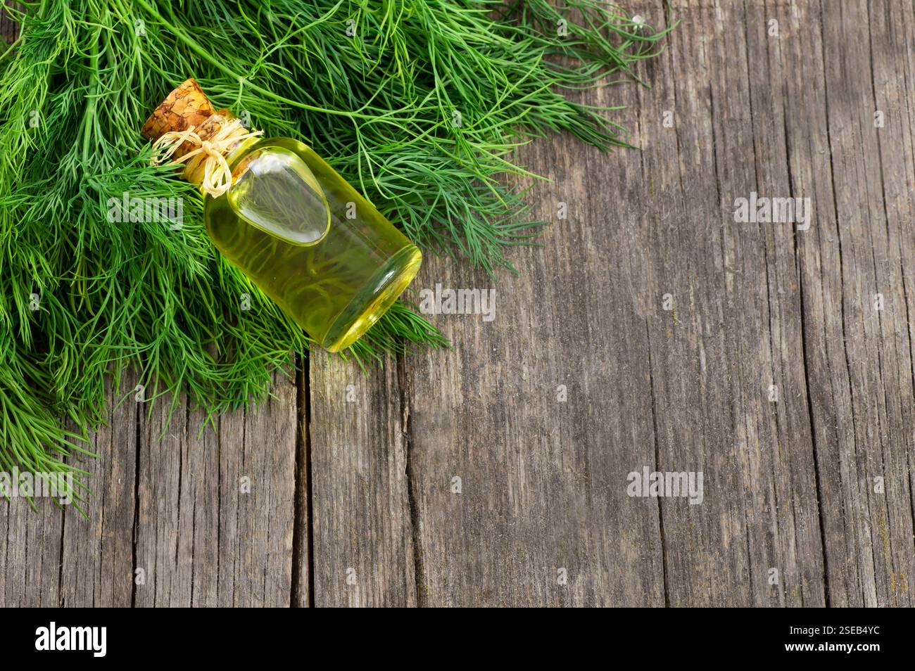 Glass bottle of dill essential oil with fresh dill bunch, green ...