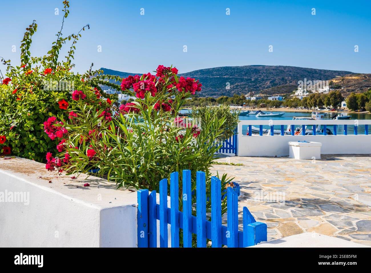 Typical Greek architecture with blue gate and colorful flowers in ...
