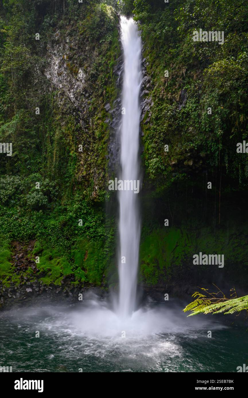 The La Fortuna waterfall in the jungle of La Fortuna in Costa Rica ...
