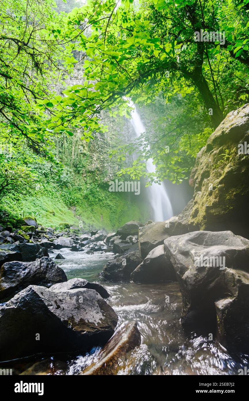 The La Fortuna waterfall in the jungle of La Fortuna in Costa Rica ...
