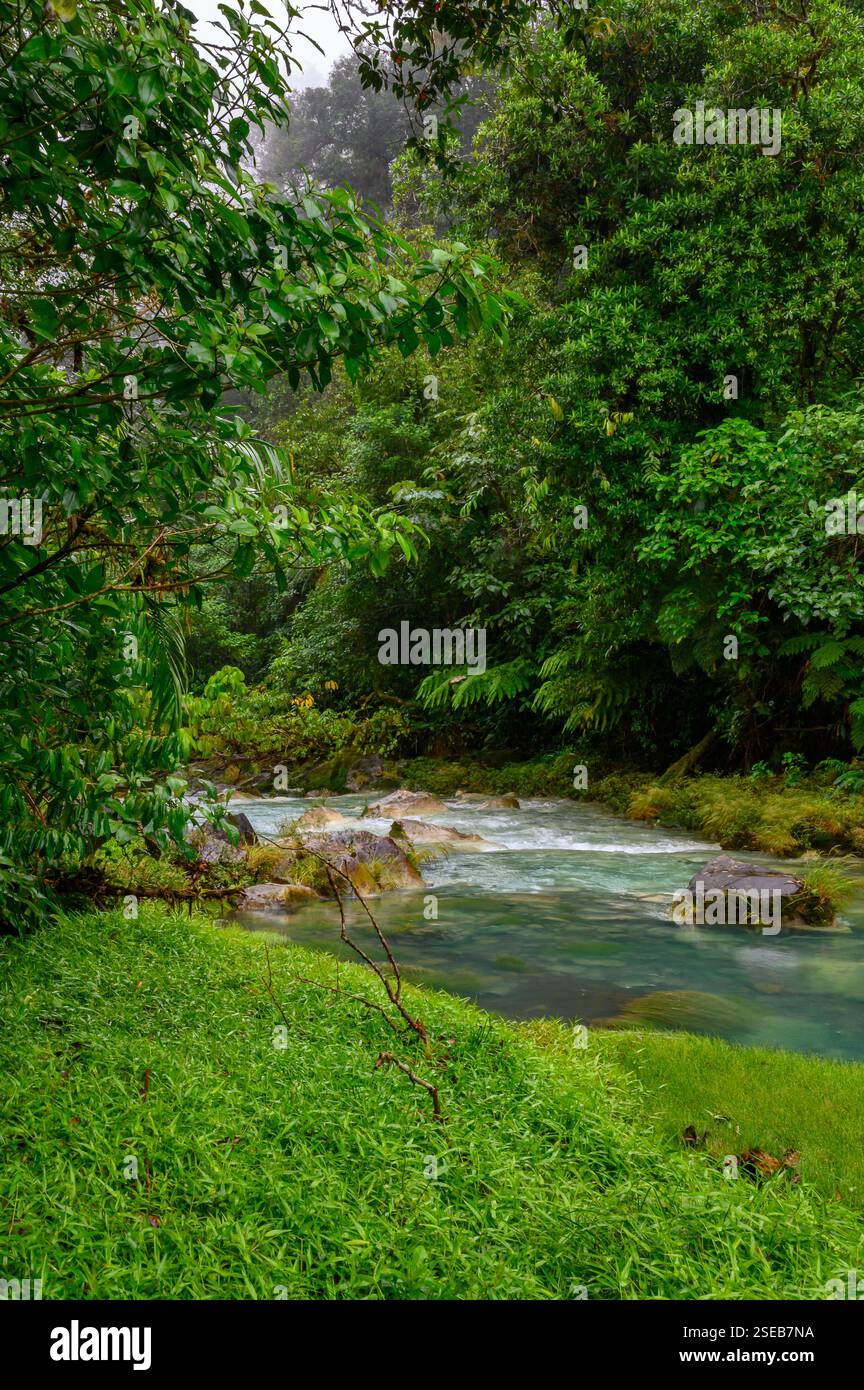 The beautiful, blue Rio Celeste in Tenorino National Park winds its way ...