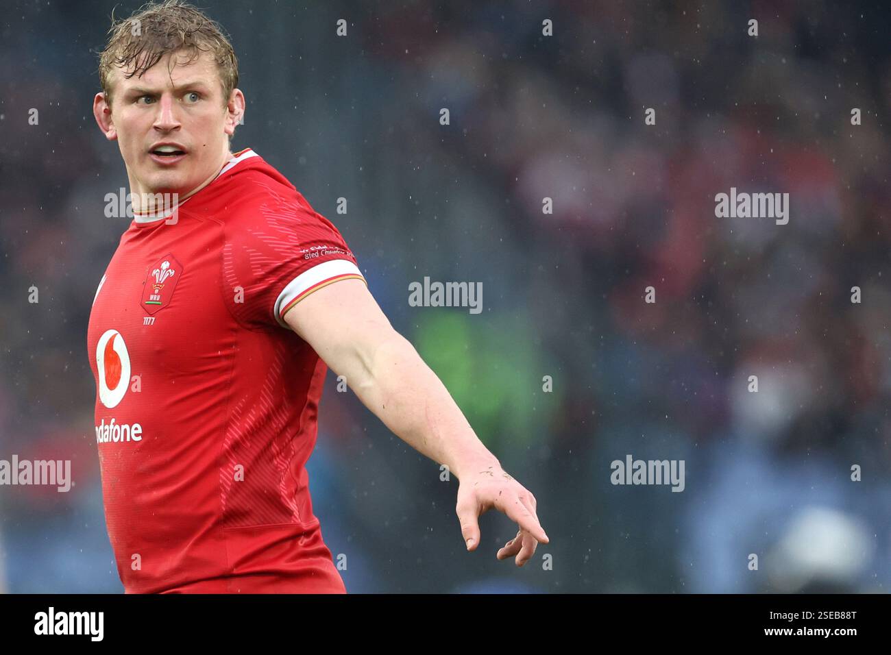 Rome, Italy. 08th Feb, 2025. Rome, Italy 08.02.2025: Jac Morgan of ...