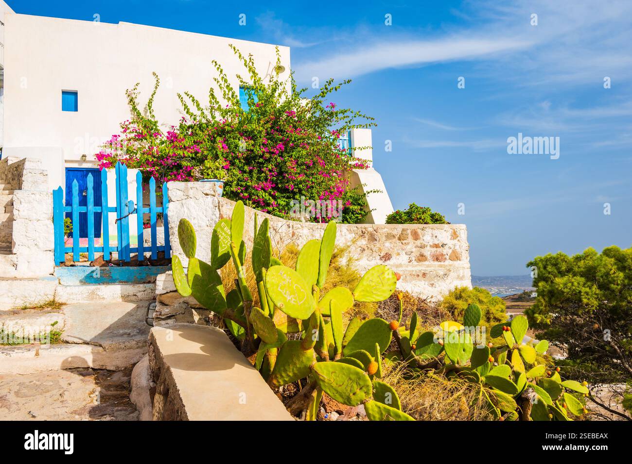 Traditional white Greek house with blue gate, cacti plants and flowers ...
